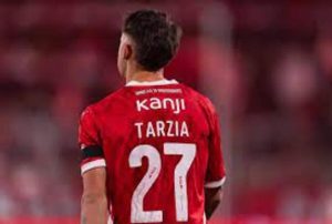Tarzia 2027